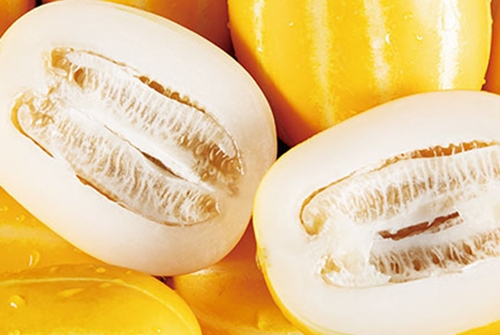 Delicious Korean Melon, Chamoe